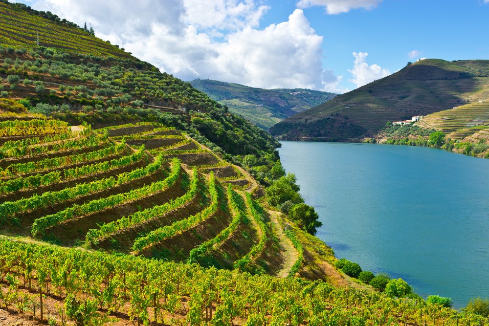 Douro | River and Region