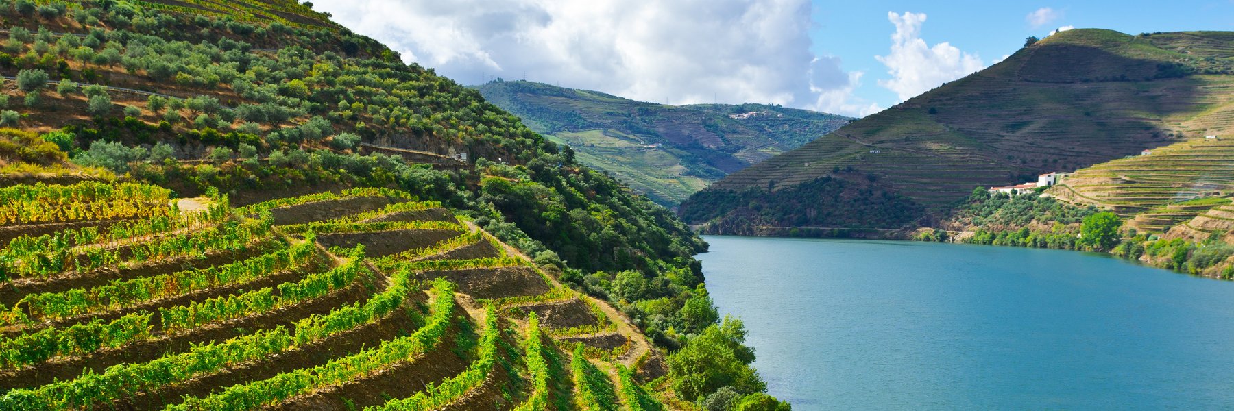 Douro River Cruise: Douro Experience 2026