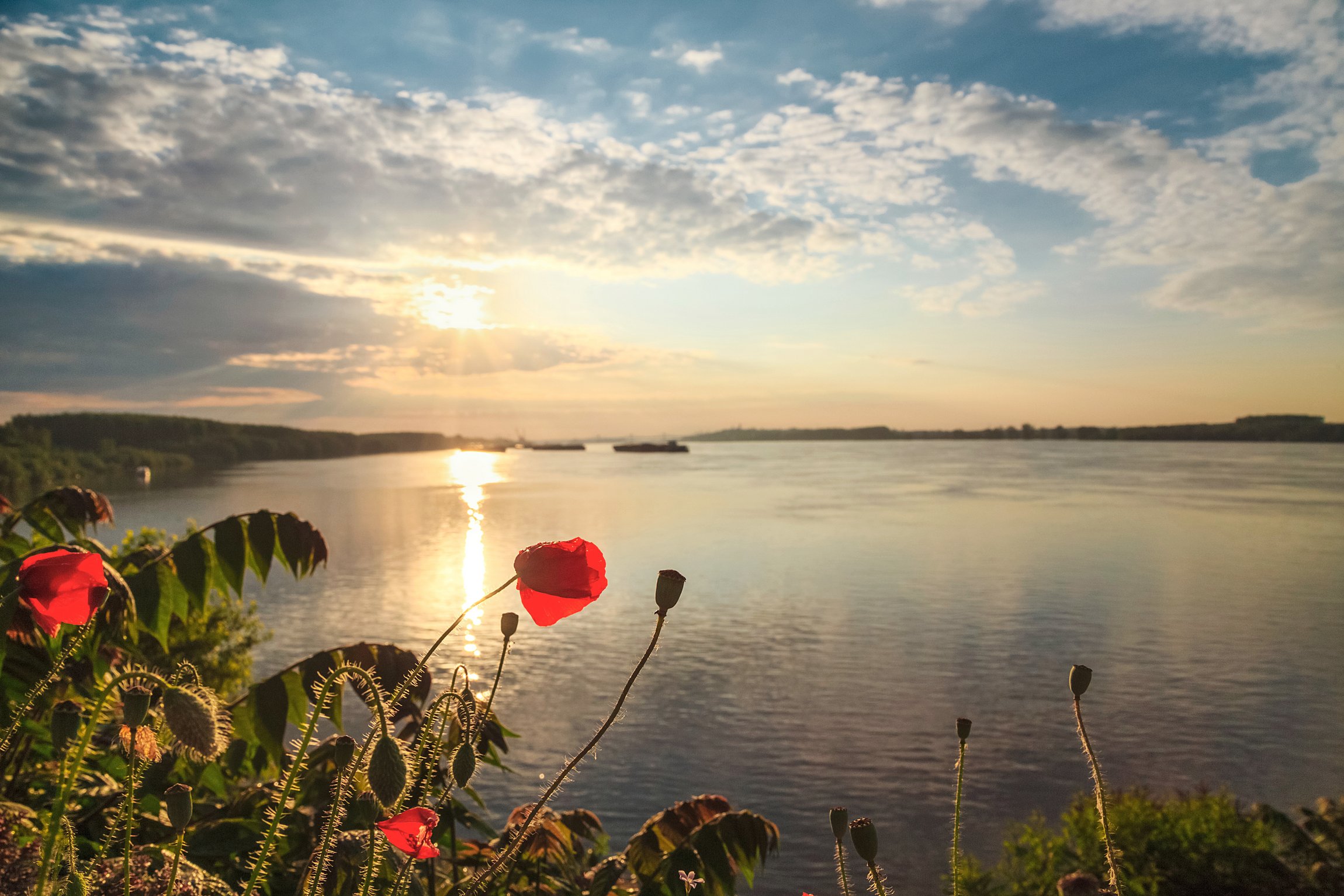 Danube River Cruise: Danube City & Nature 2026
