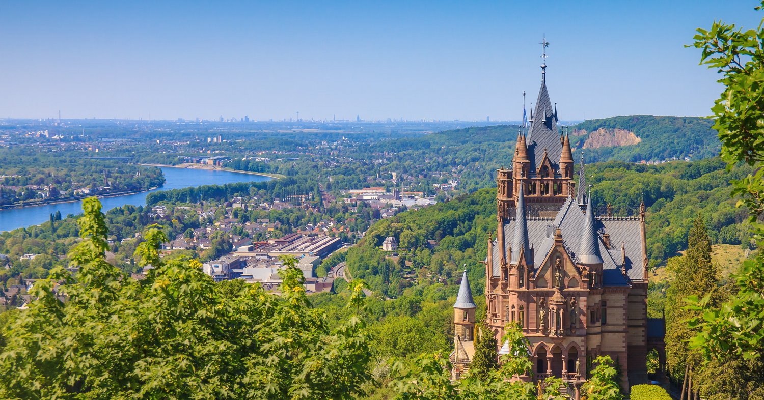 Rhine River Cruise: Main & Middle Rhine Experience 2026