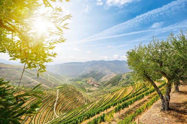 Douro | River and Region